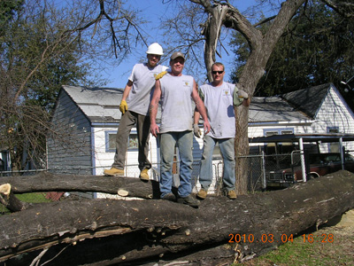 Plant/Tree Health Care NOW | White Rock Tree Wizards