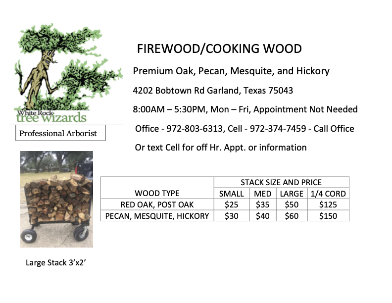 Tree Pruning, Dallas Tree Doctor, Emergency Tree Removal Service, Tree ...